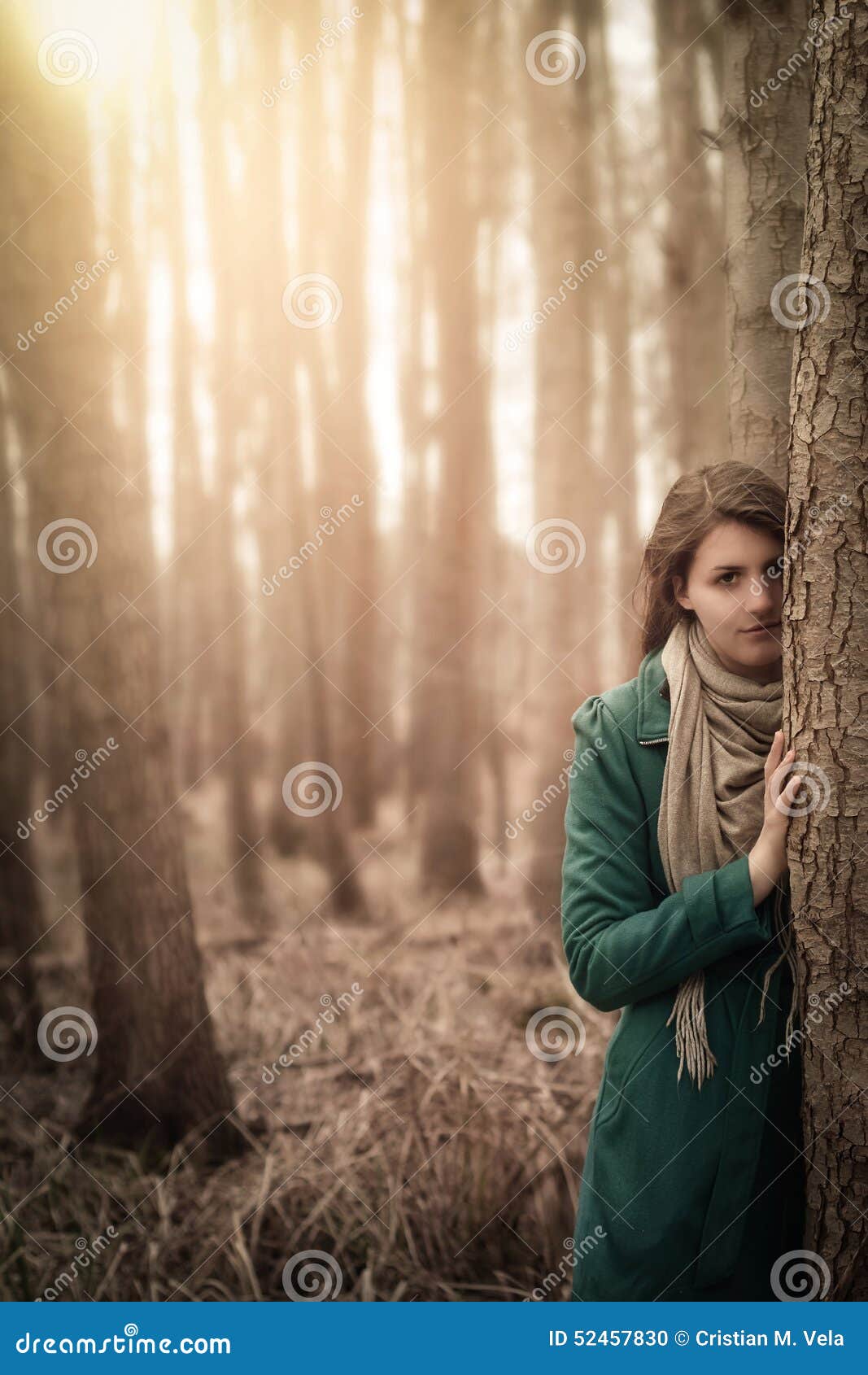 Forest portrait stock photo. Image of kind, tree, beautiful - 52457830