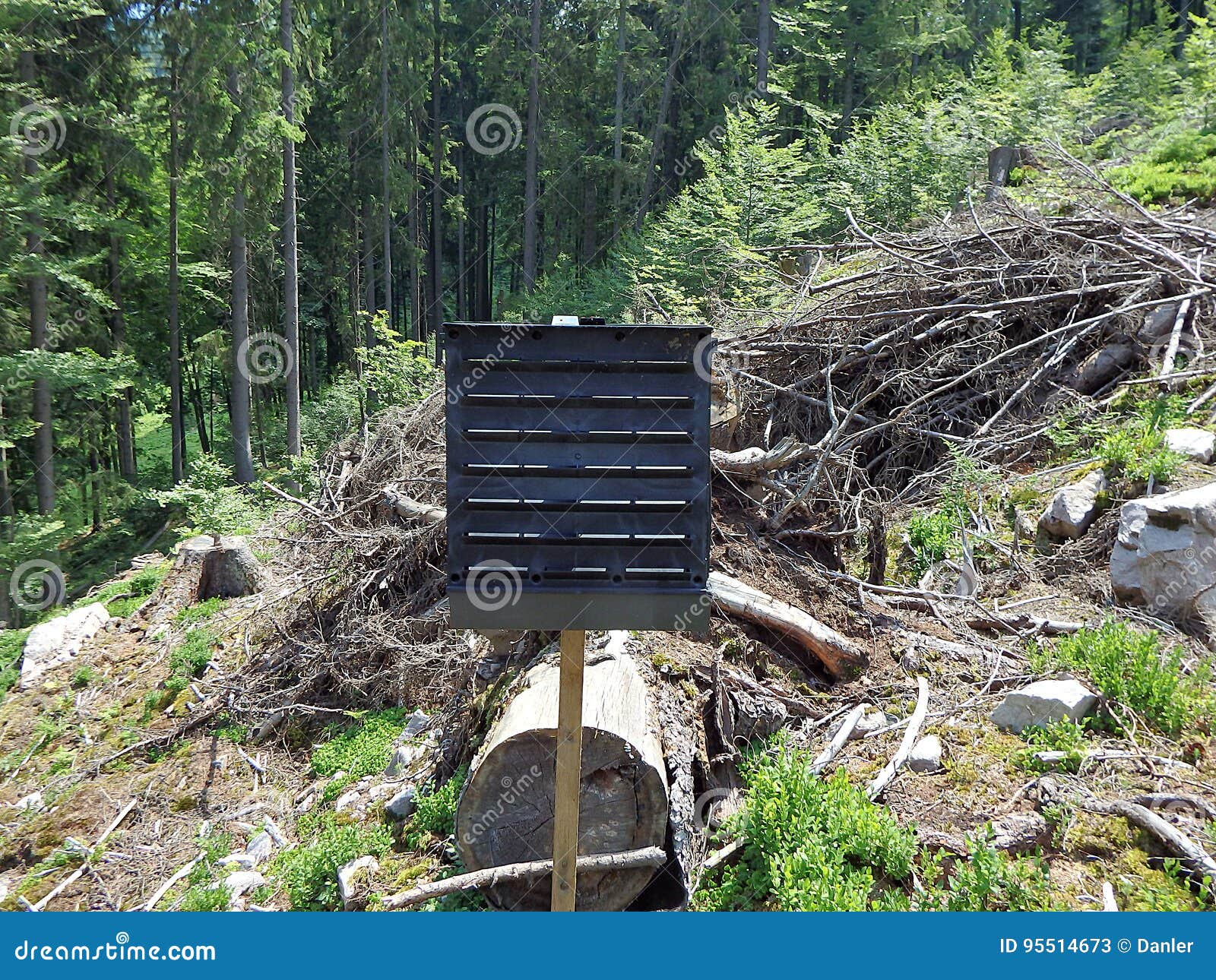 Forest Preservation, Pheromone Trap for Bark Beetle Stock Image - Image ...