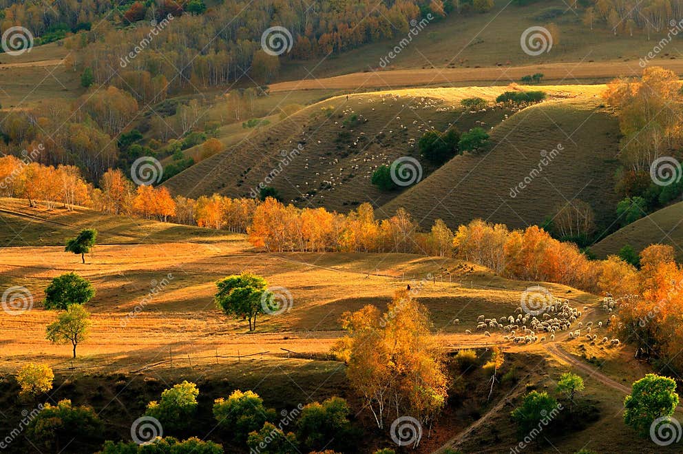 Forest Ranch stock photo. Image of badlands, green, color - 6944078