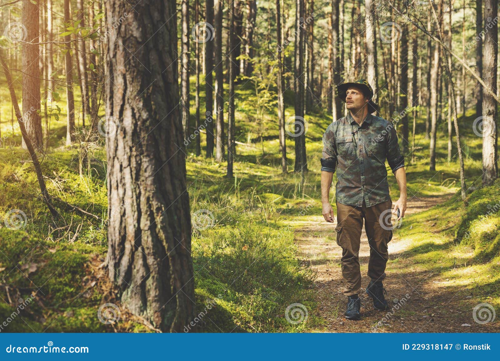 Forest Ranger or Forester on the Walk Stock Image - Image of occupation ...