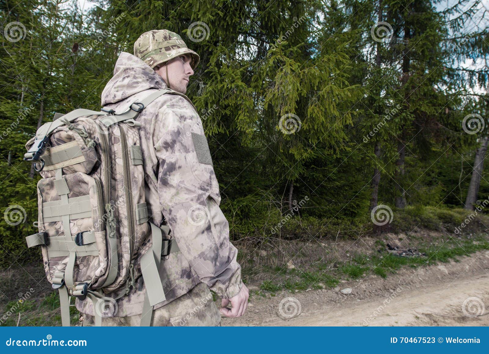 Forest Ranger at Work stock image. Image of caucasian - 70467523