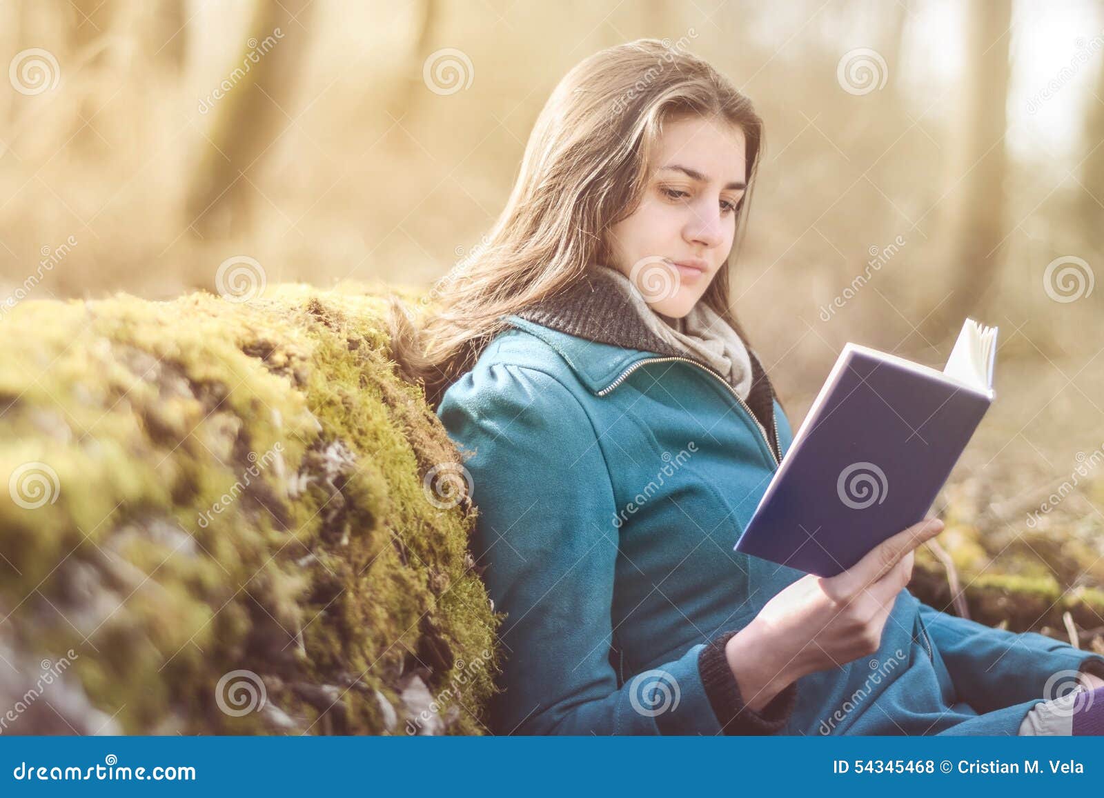 Forest reading stock photo. Image of bright, read, autumn - 54345468