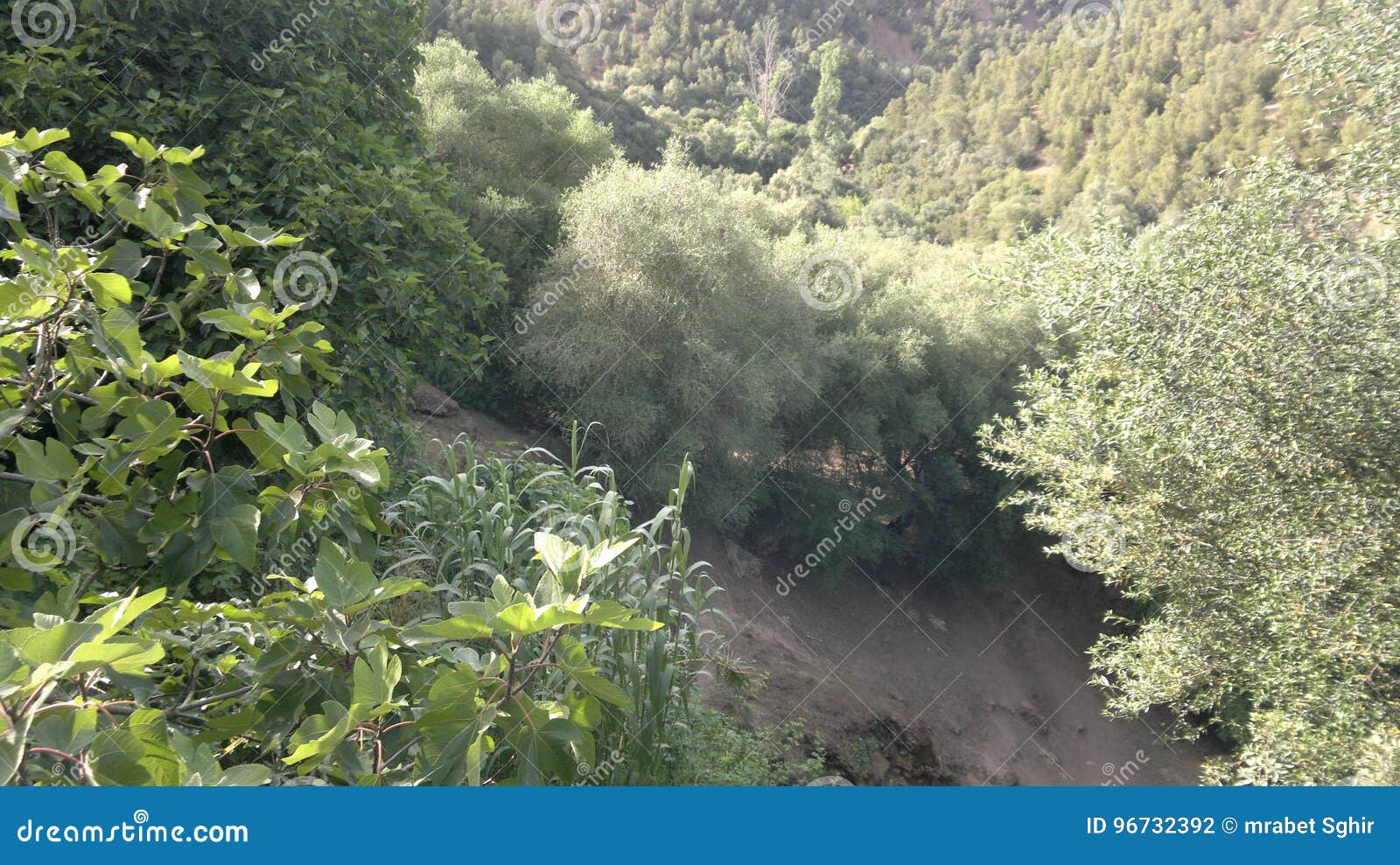 Guercif Morocco Stock Photos - Free & Royalty-Free Stock Photos from ...