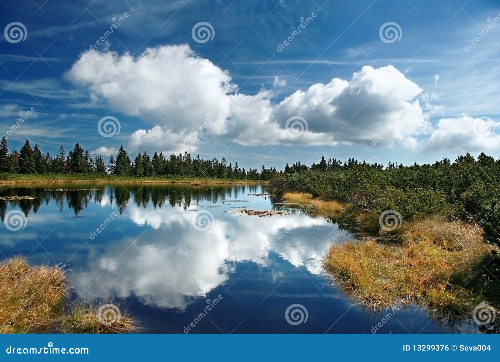 Forest reflection stock photo. Image of lake, cloud, reflection - 13299376