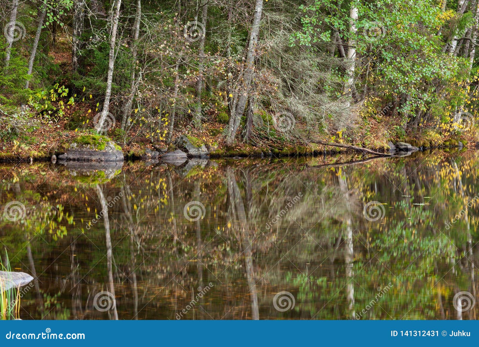 Forest Reflection in Lake Surface Stock Image - Image of still ...
