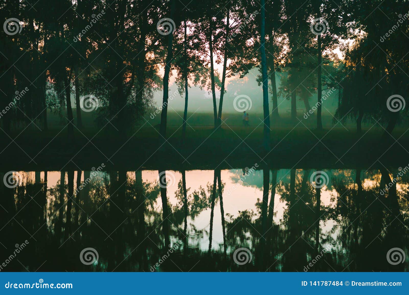 Forest Reflections on the Lake Stock Photo - Image of nature, cloud ...