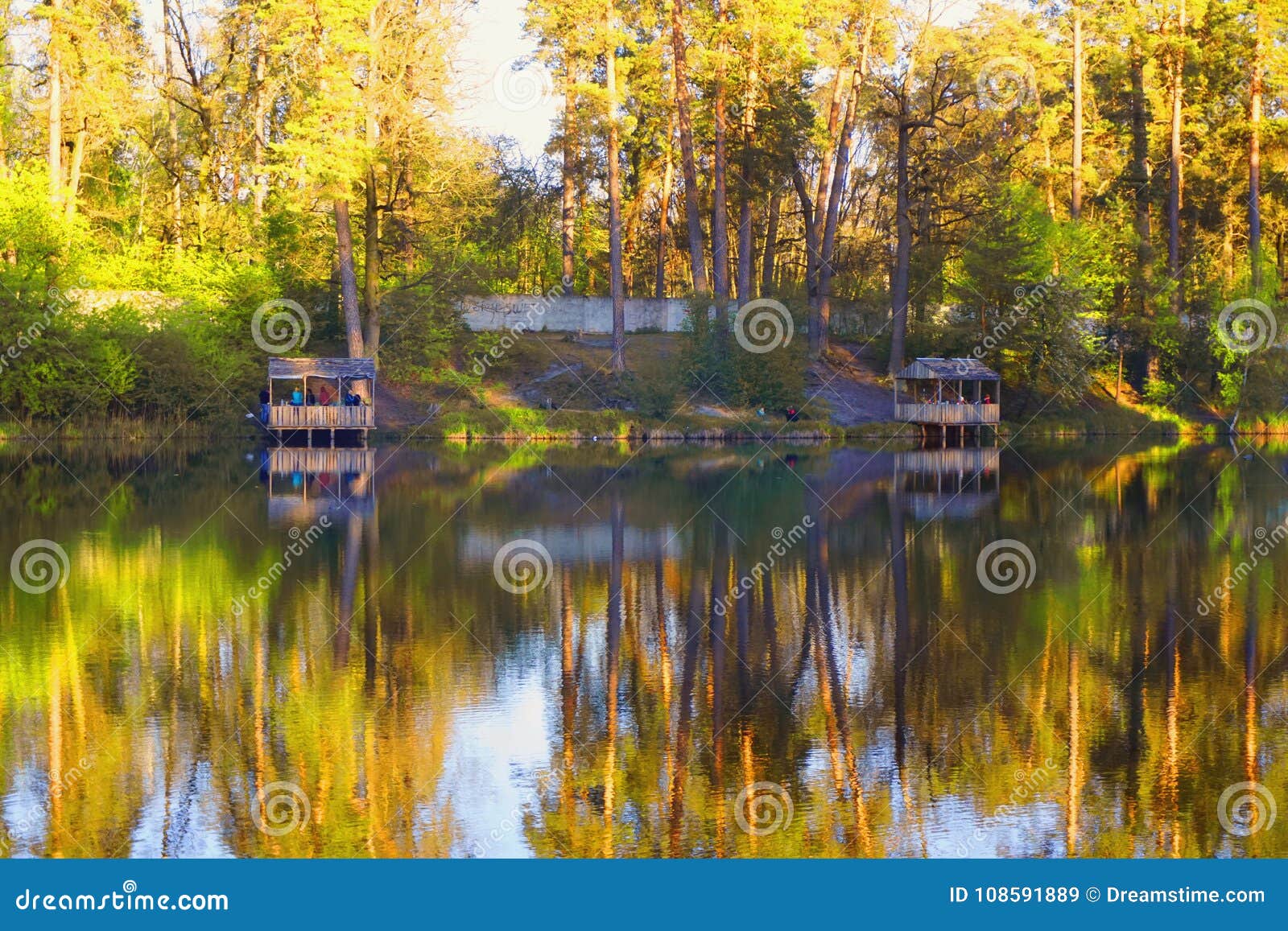 Forest Reflection in Water Surface. Spring Evening Warm Weather. Stock ...