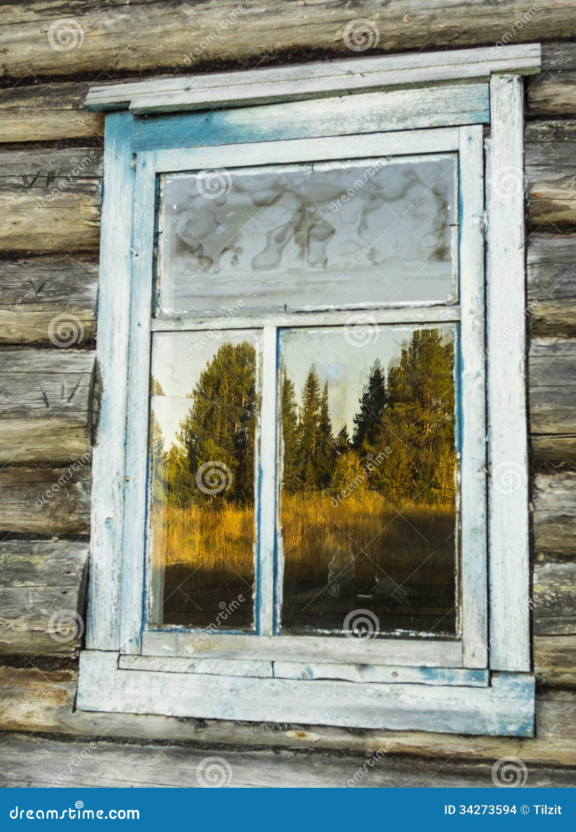 Forest Reflection in the Window Stock Photo - Image of window, yellow ...