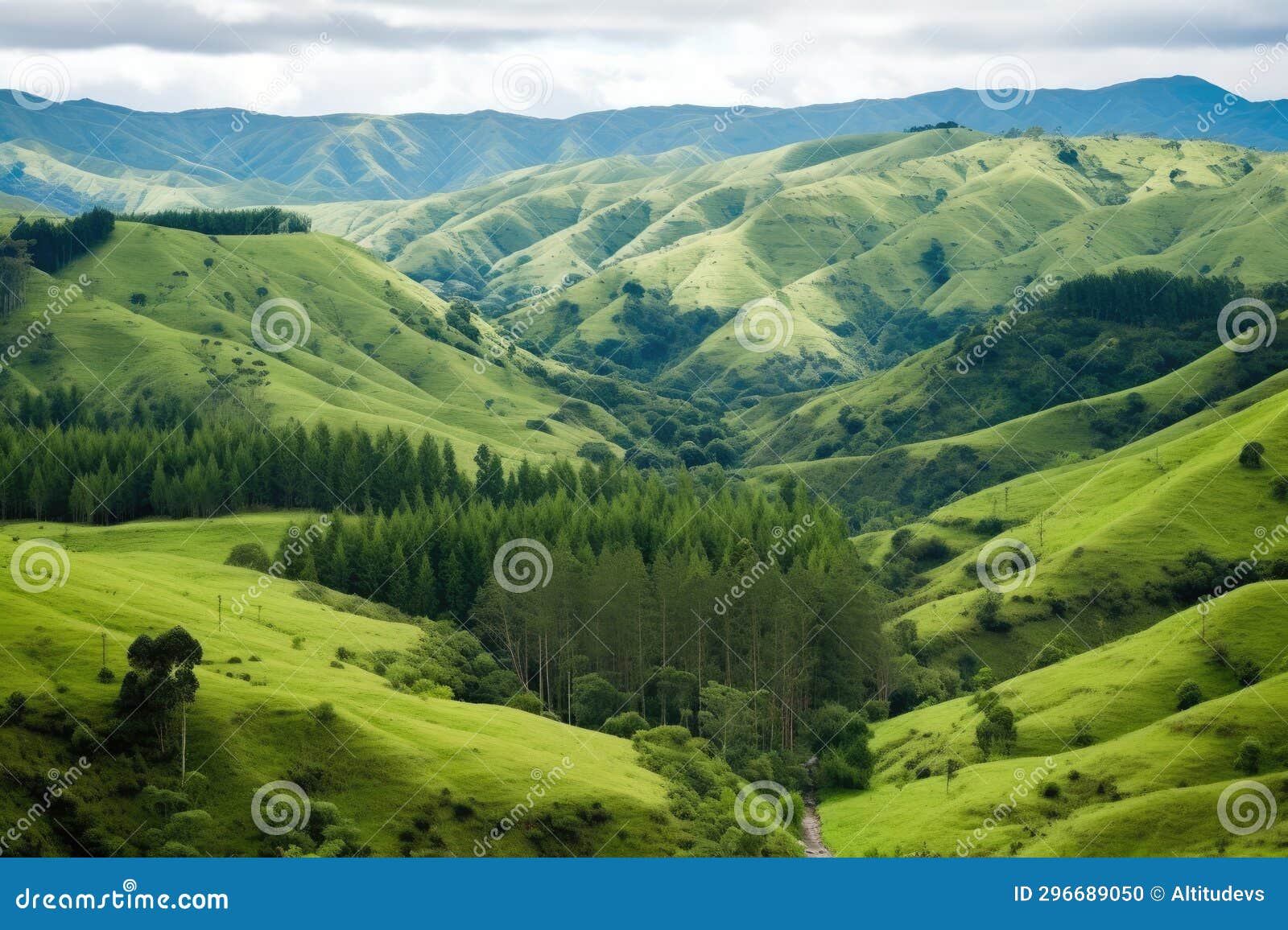 Forest Reserve with Verdant Rolling Hills Stock Photo - Image of ...