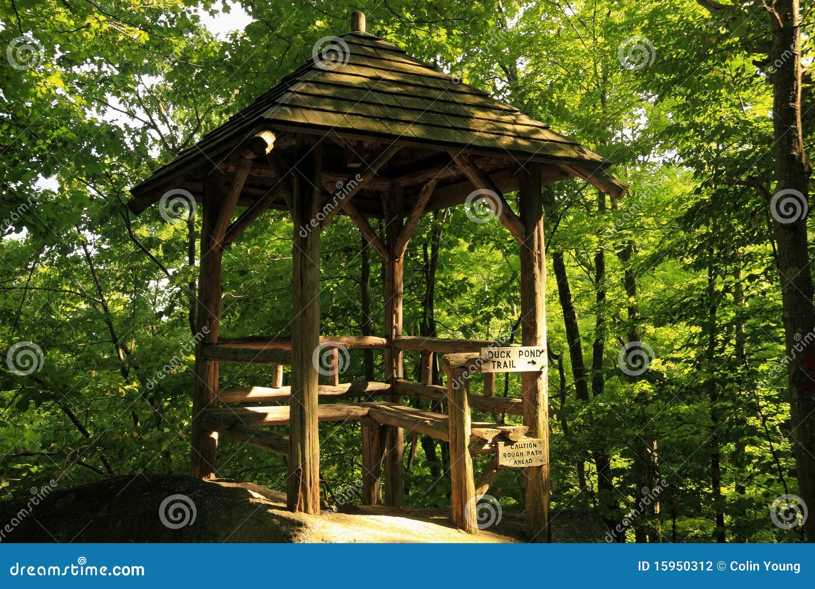Forest Rest Area stock photo. Image of trees, gunks, mountains - 15950312