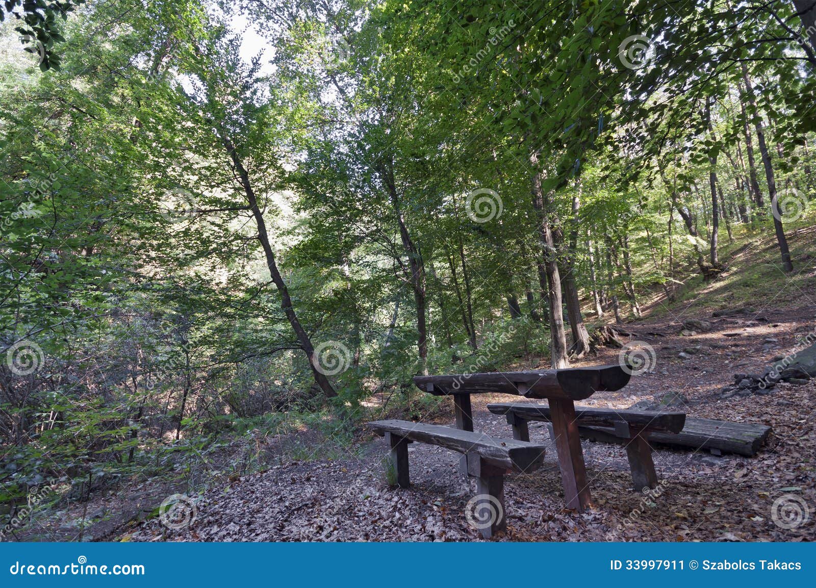 Forest resting area stock image. Image of concepts, colors - 33997911