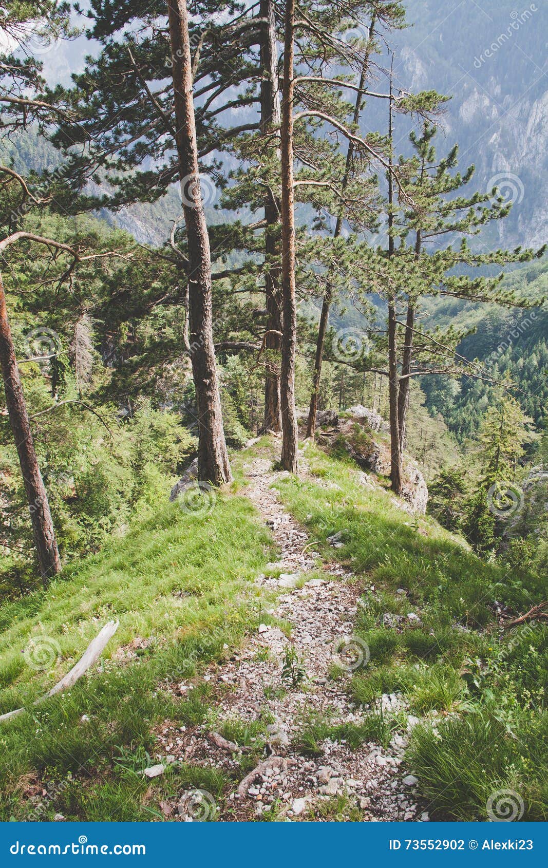 Forest ridge stock photo. Image of ridge, path, mountain - 73552902