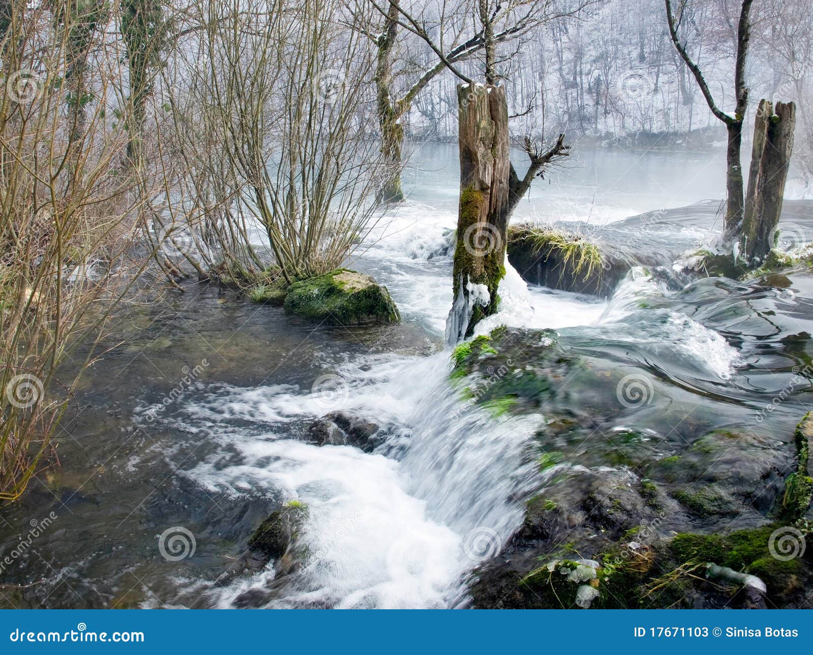 Forest river stock image. Image of flow, detail, cedar - 17671103
