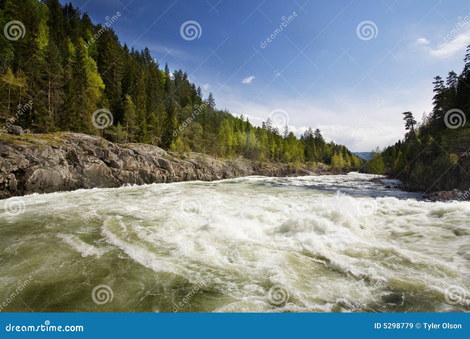 Forest River stock image. Image of outdoor, stream, mountain - 5298779