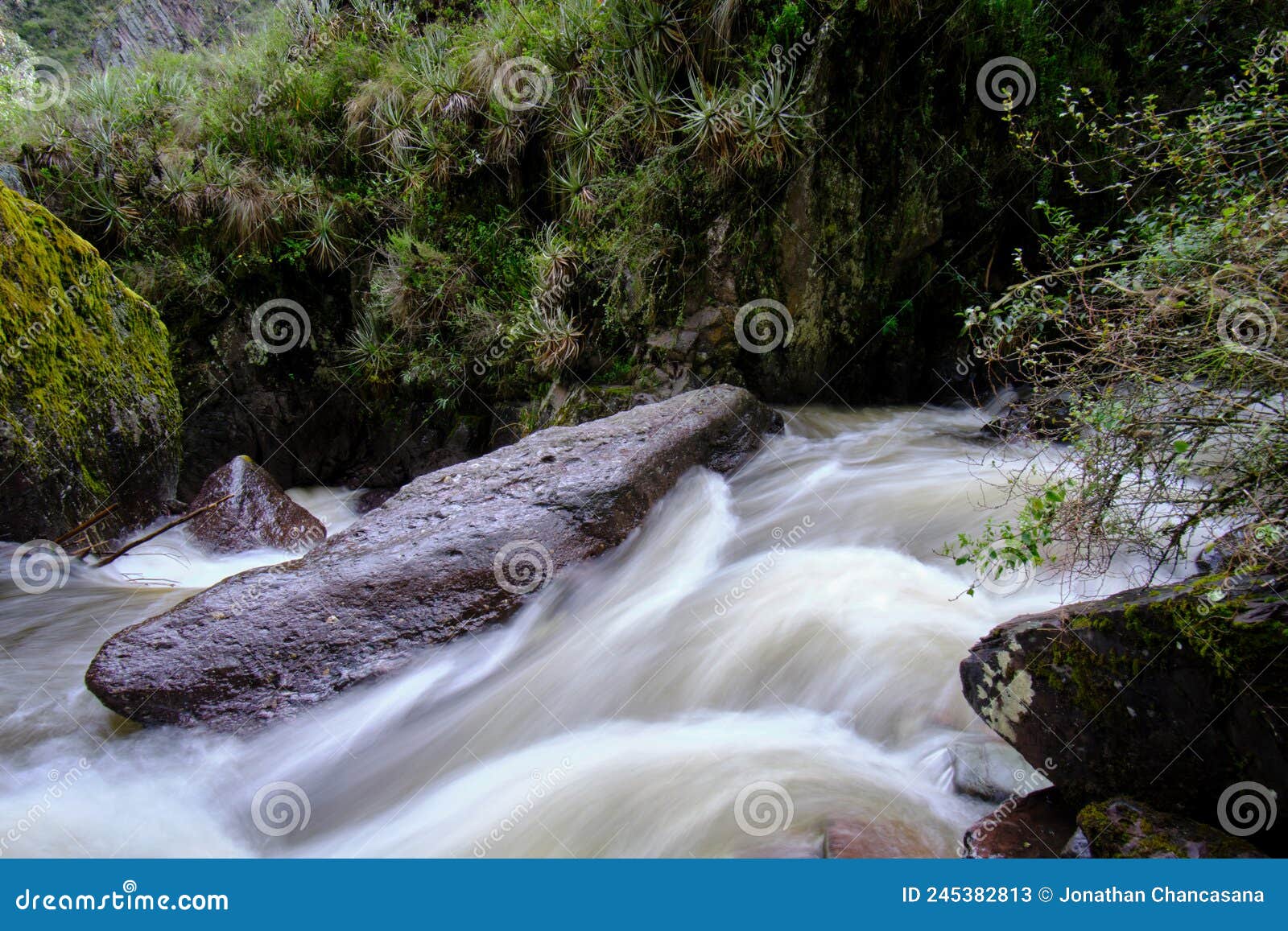 Forest and river stock image. Image of stones, picturesque - 245382813