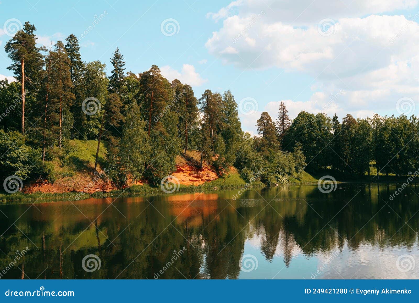 Forest and River, Beautiful Landscape of Nature Stock Photo - Image of ...
