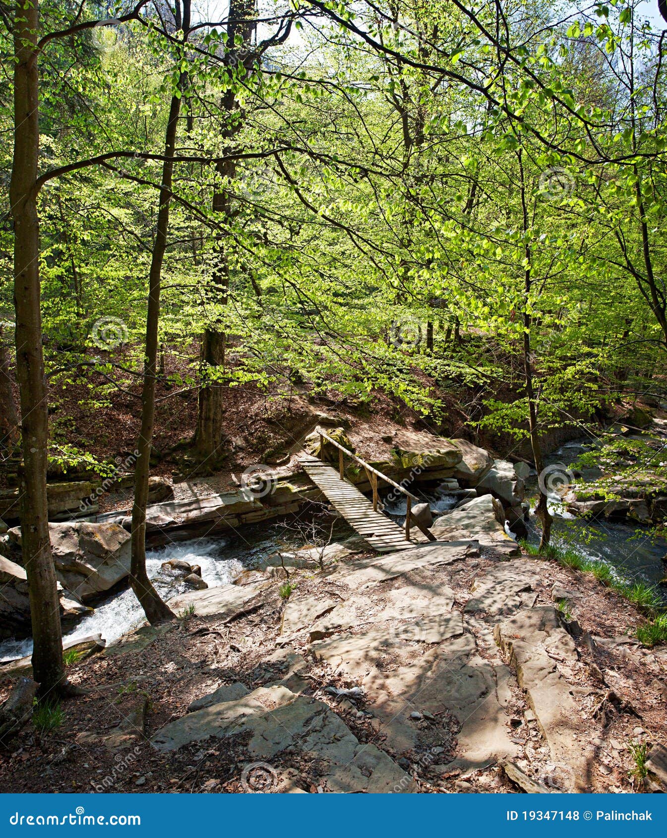 Forest River with Bridge stock photo. Image of natural - 19347148