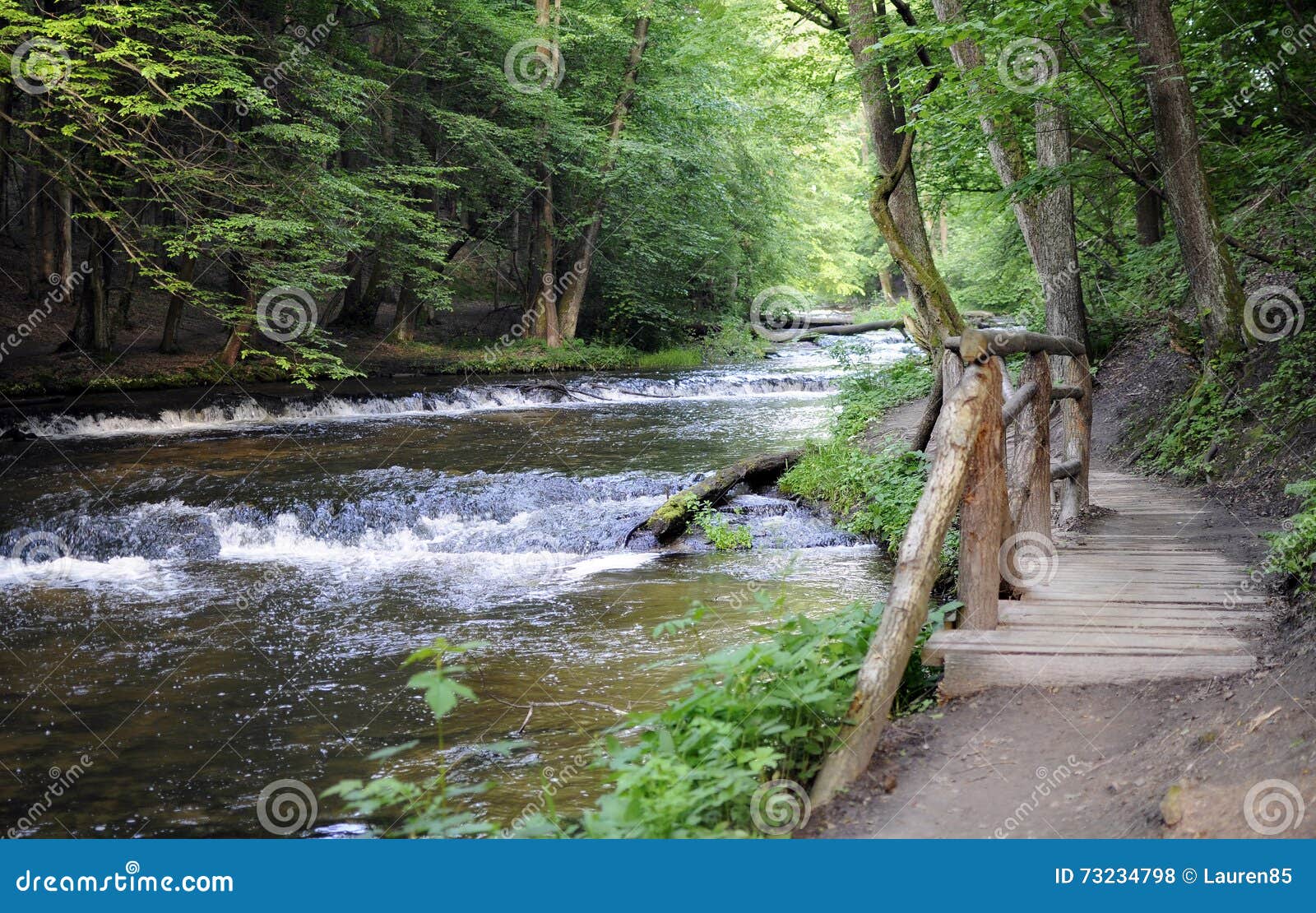 Forest River in Early Spring Stock Photo - Image of handrail, poland ...