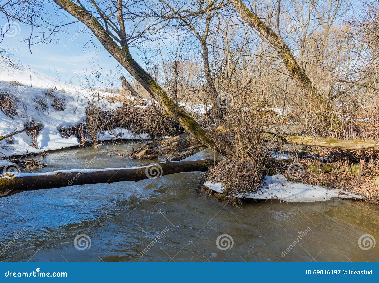 Forest River at Early Spring Stock Image - Image of winter, creek: 69016197