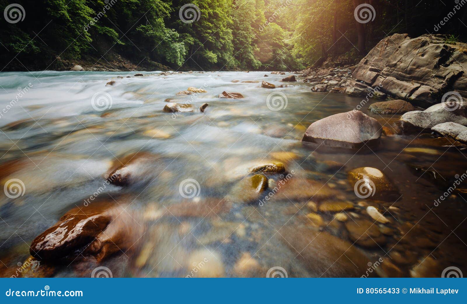 Forest river flow stock image. Image of river, riverbank - 80565433