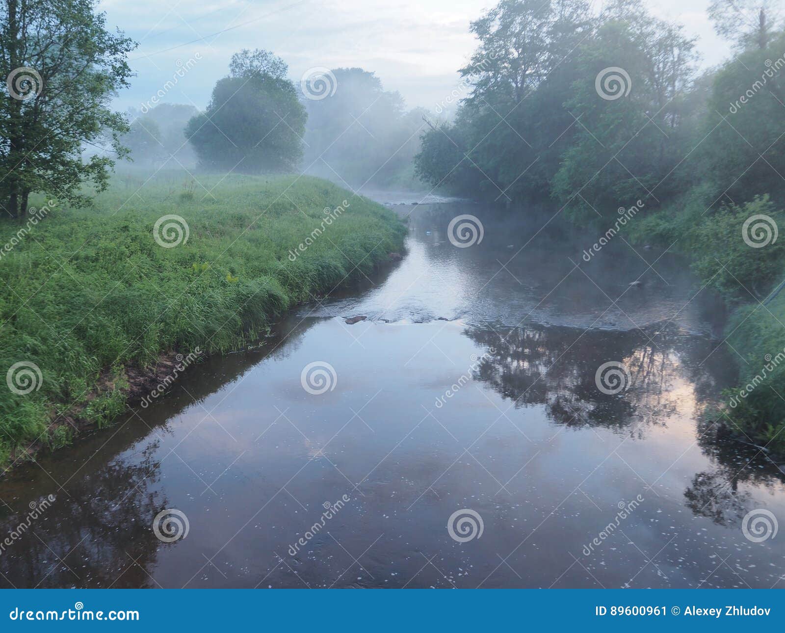 A forest river in a fog. stock image. Image of evening - 89600961