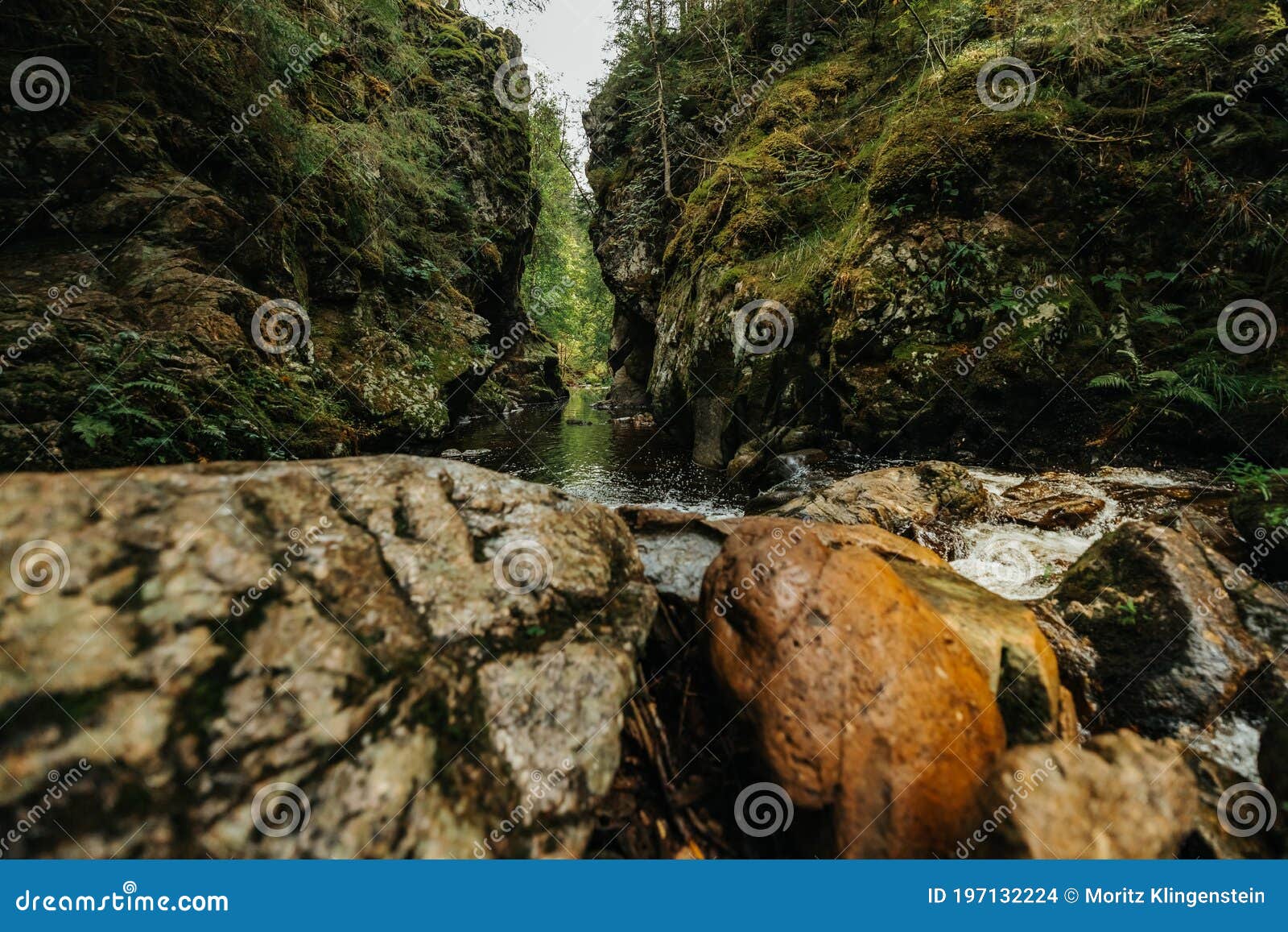 Forest and River of the Haslach Gorge Next To Wutach Gorge in the Black ...