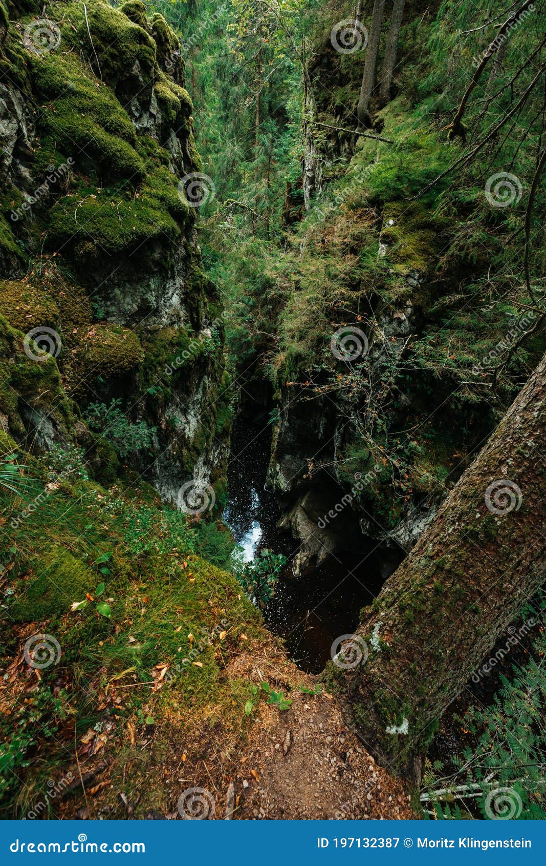 Forest and River of the Haslach Gorge Next To Wutach Gorge in the Black ...