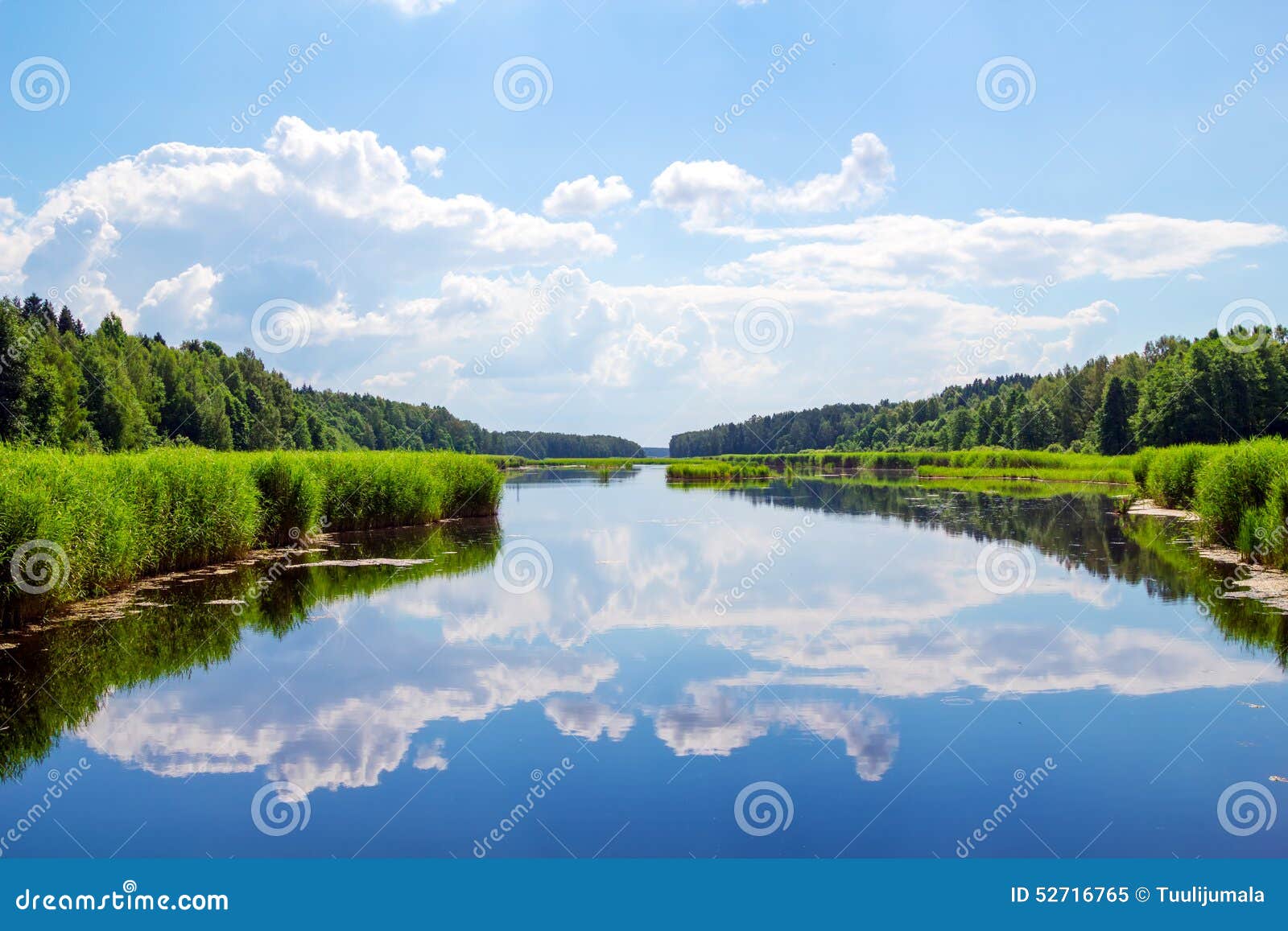 Forest river landscape stock image. Image of horizontal - 52716765