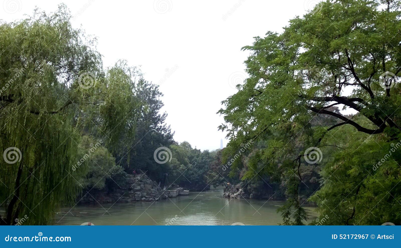 Forest and river stock image. Image of nature, feel, forest - 52172967