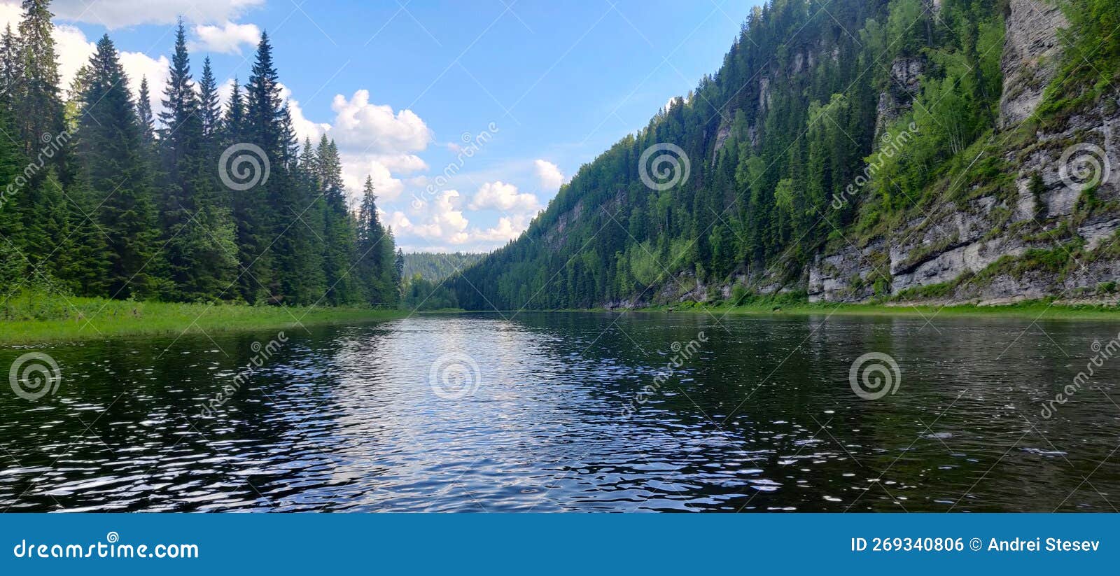 Forest, River and Mountain in Good Weather Stock Photo - Image of ...