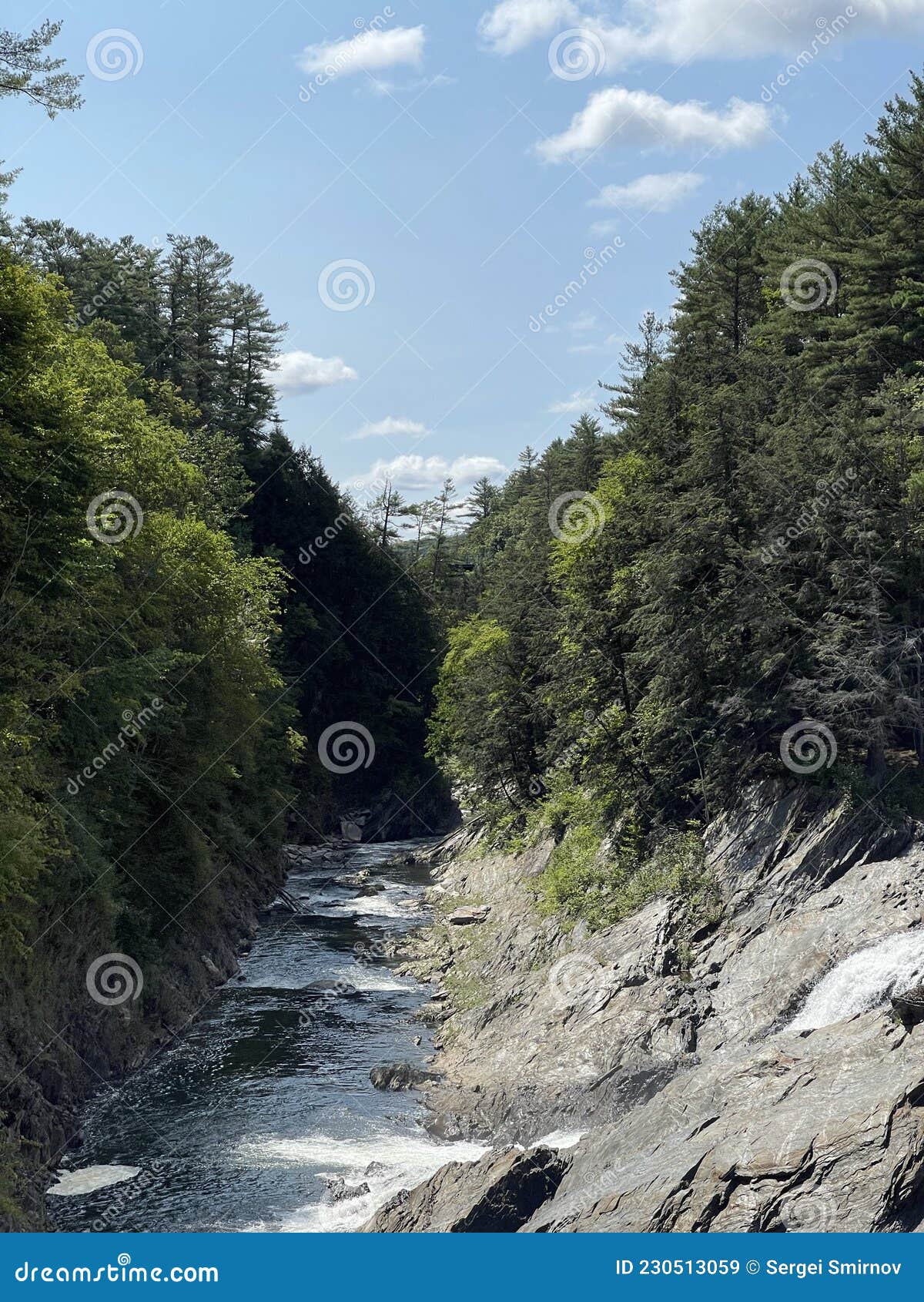 Forest and River in Mountain at Noon Stock Image - Image of forest ...