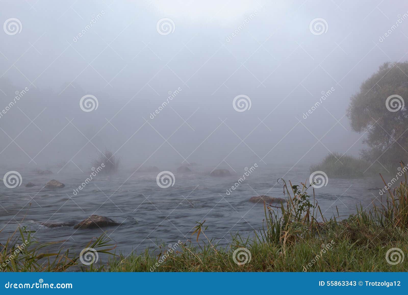 Forest River Rapids Morning Fog at Sunrise Stock Image - Image of ...