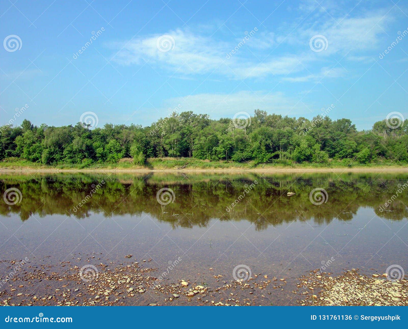 Forest River. Reflection of the Forest in the Water Stock Photo - Image ...