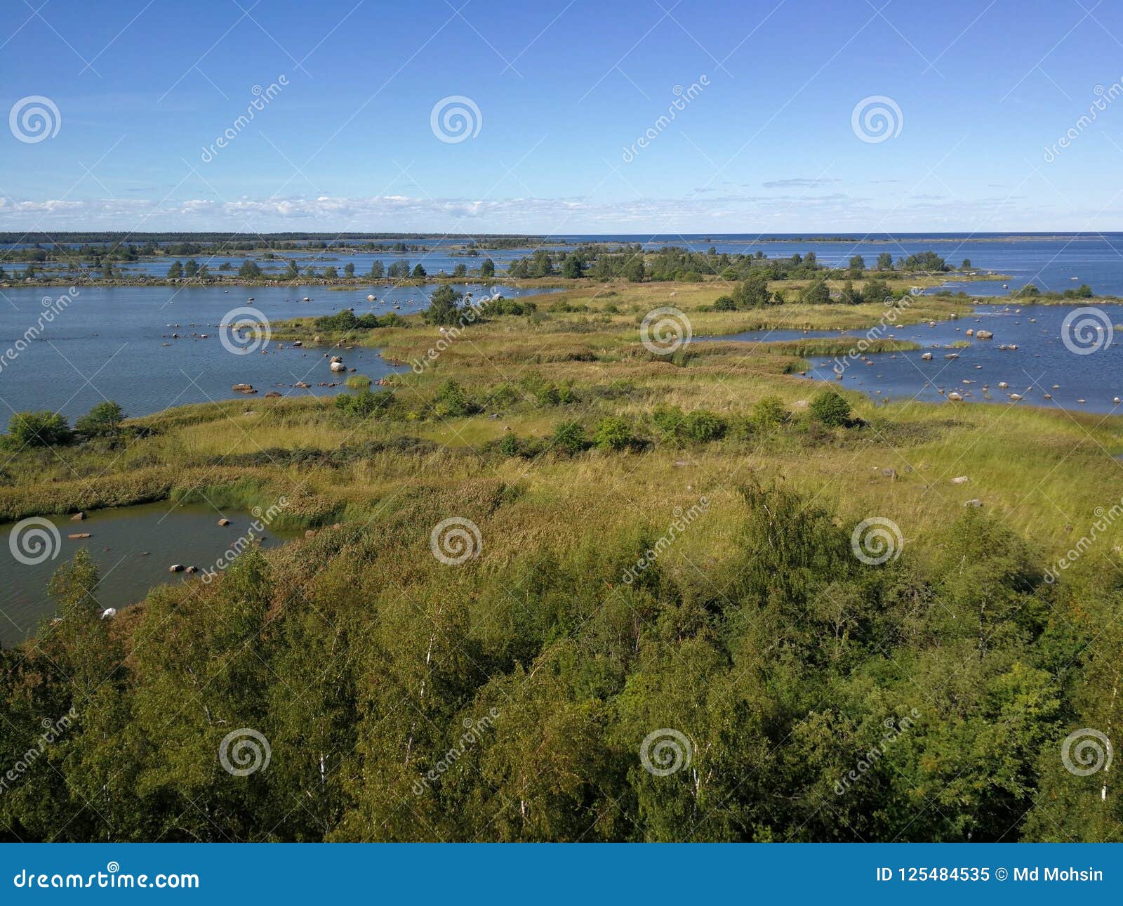 Forest river side, islands stock image. Image of river - 125484535