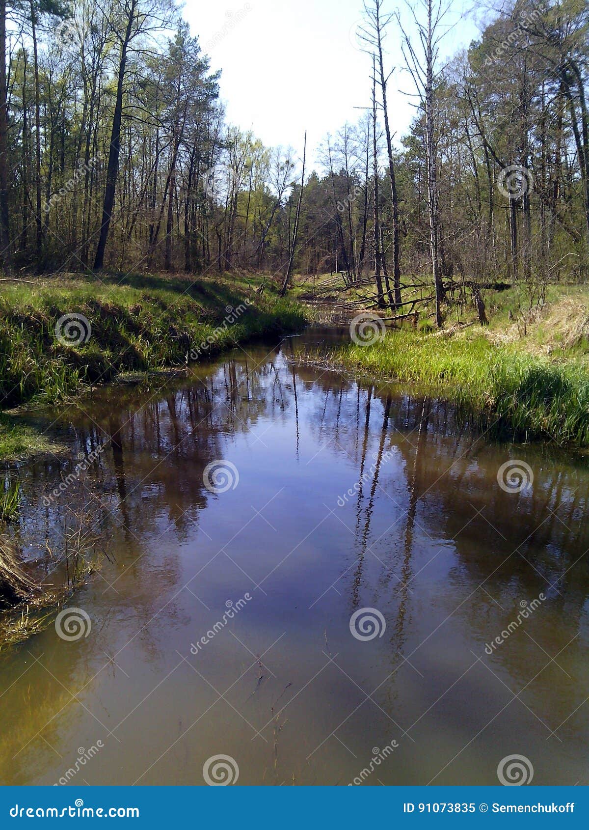 Forest river stock image. Image of forest, rivulet, small - 91073835