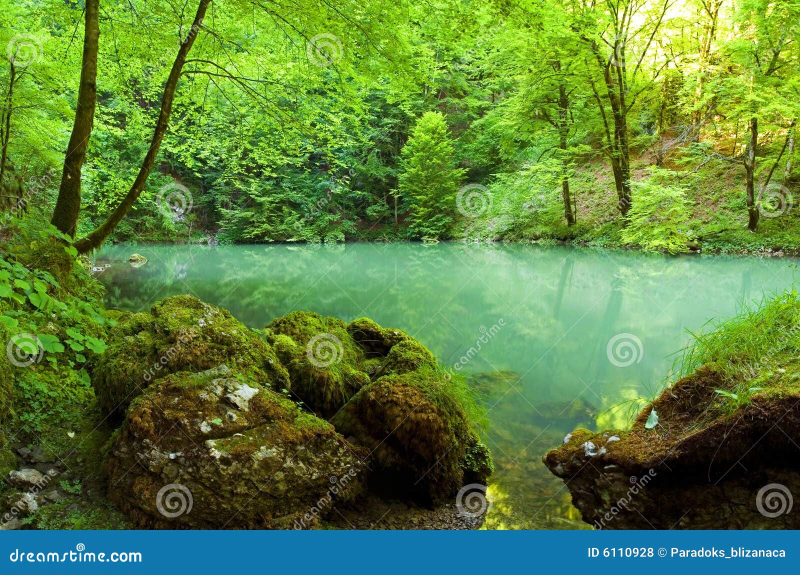 Forest river source scene stock photo. Image of scene - 6110928