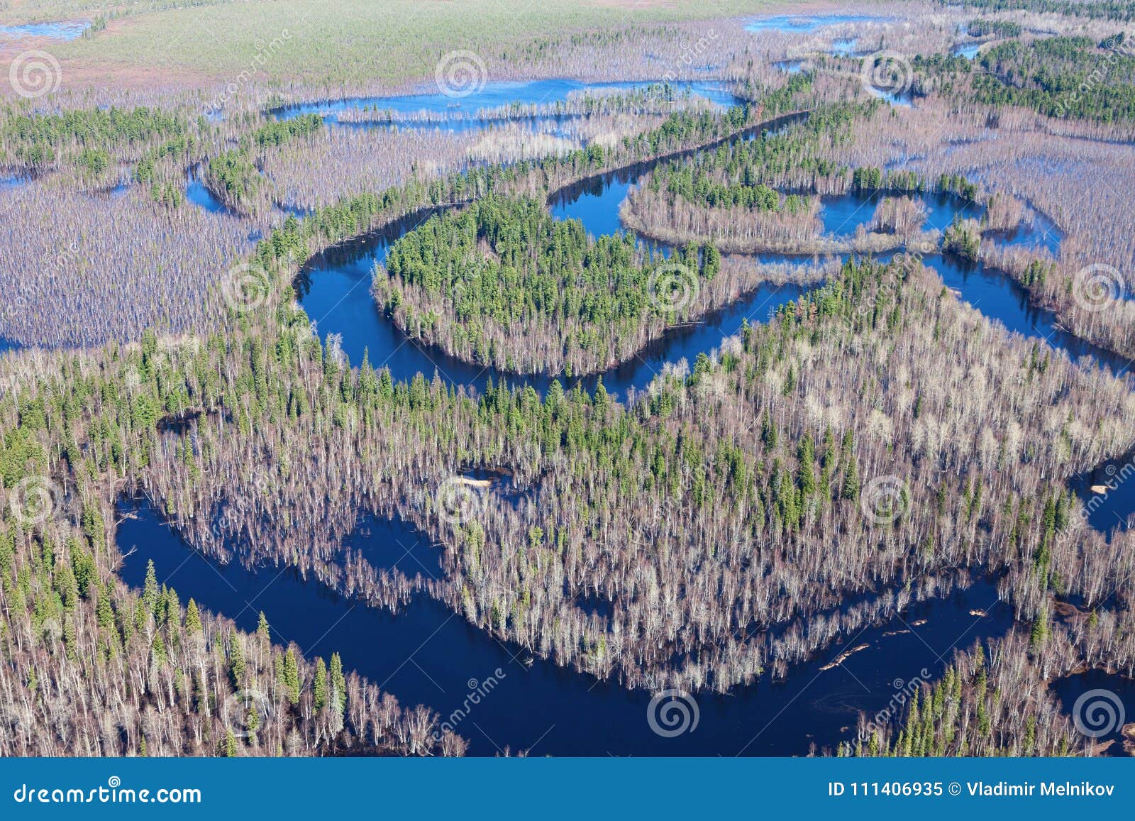 Forest River in Spring, Top View Stock Image - Image of background ...