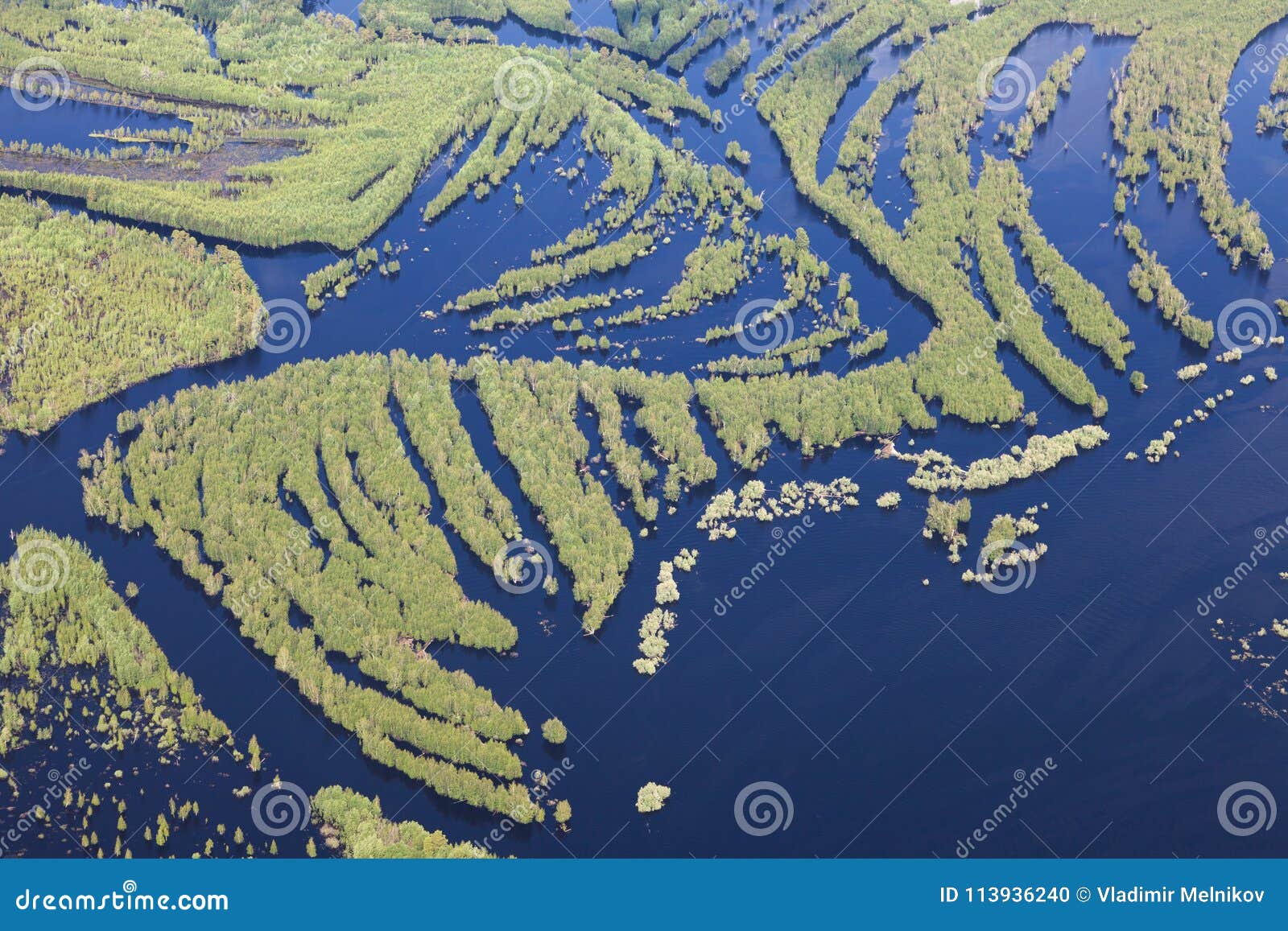 Forest River in Spring, Top View Stock Photo - Image of season, scene ...