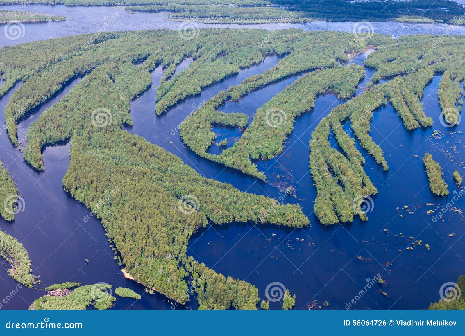 Forest River in Spring, Top View Stock Photo - Image of high, green ...