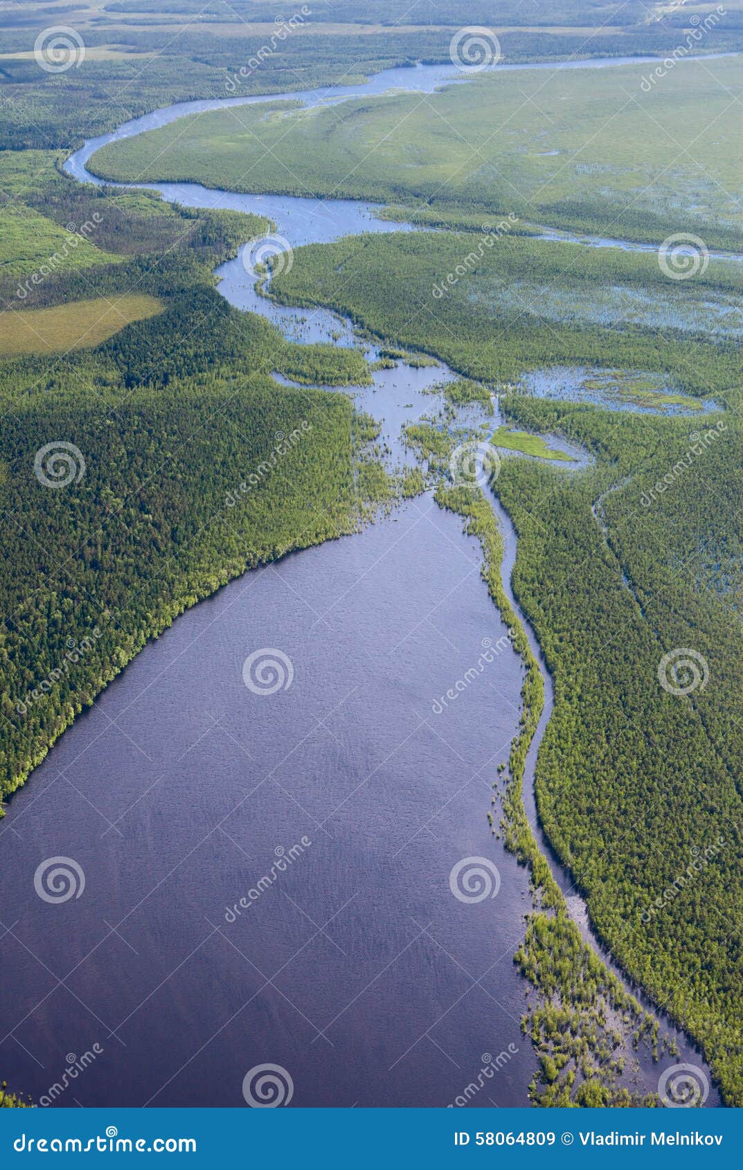 Forest River in Spring, Top View Stock Image - Image of water, nature ...