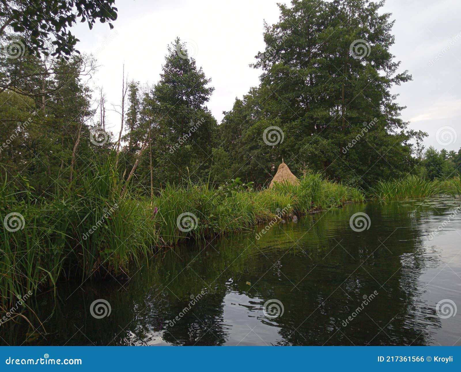 Haystack near water stock photo. Image of pond, stream - 217361566