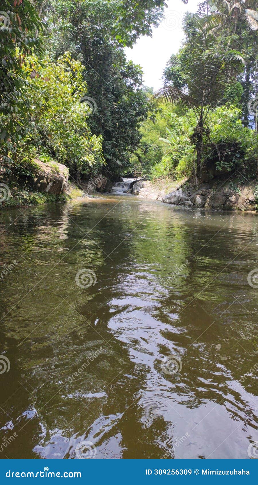 Forest River Stone and Tree with Sun Beam, Water Flow in Perak Malaysia ...