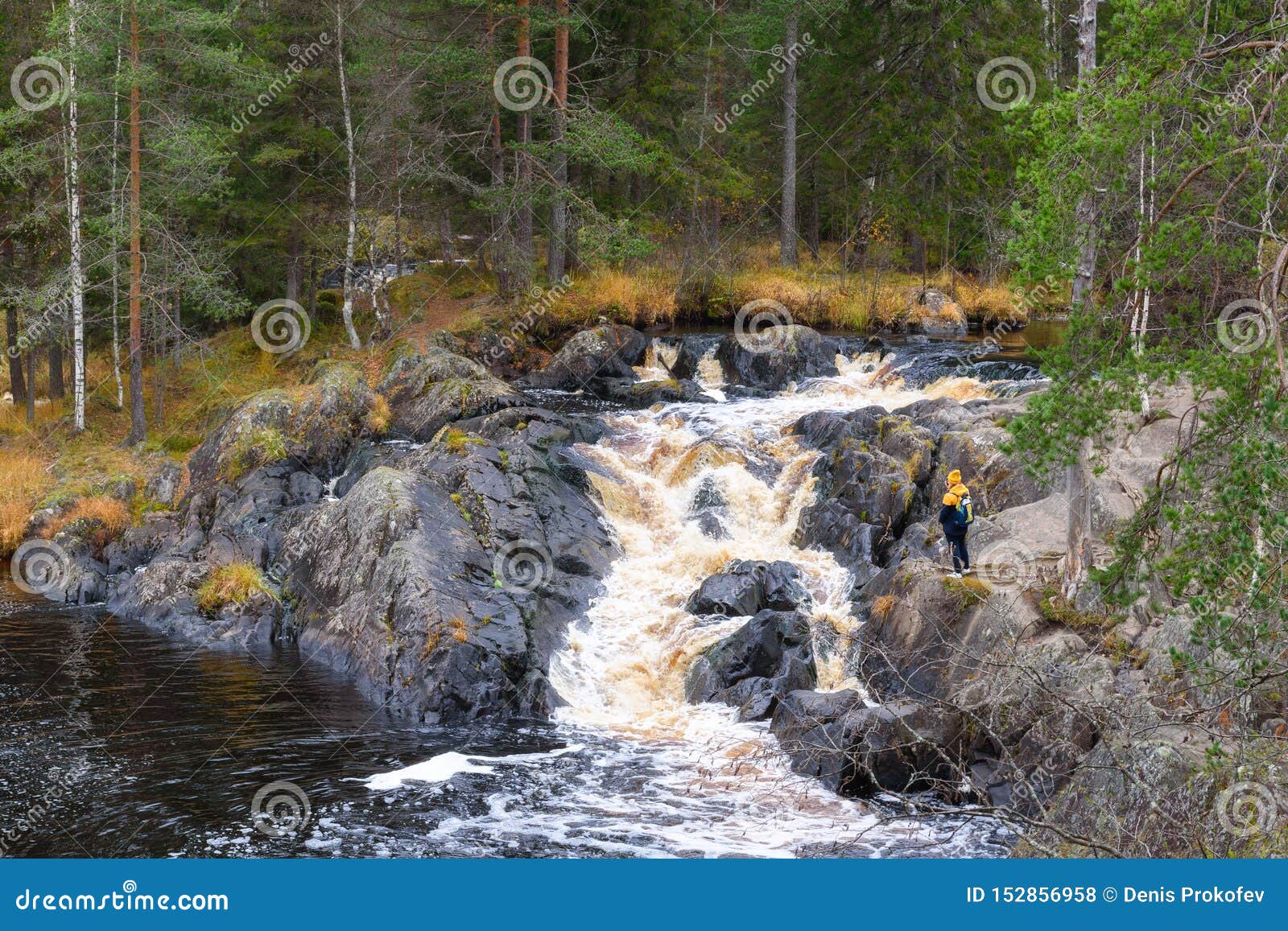 Forest River Stream Flow View. Deep Forest River Waterfall Stream ...