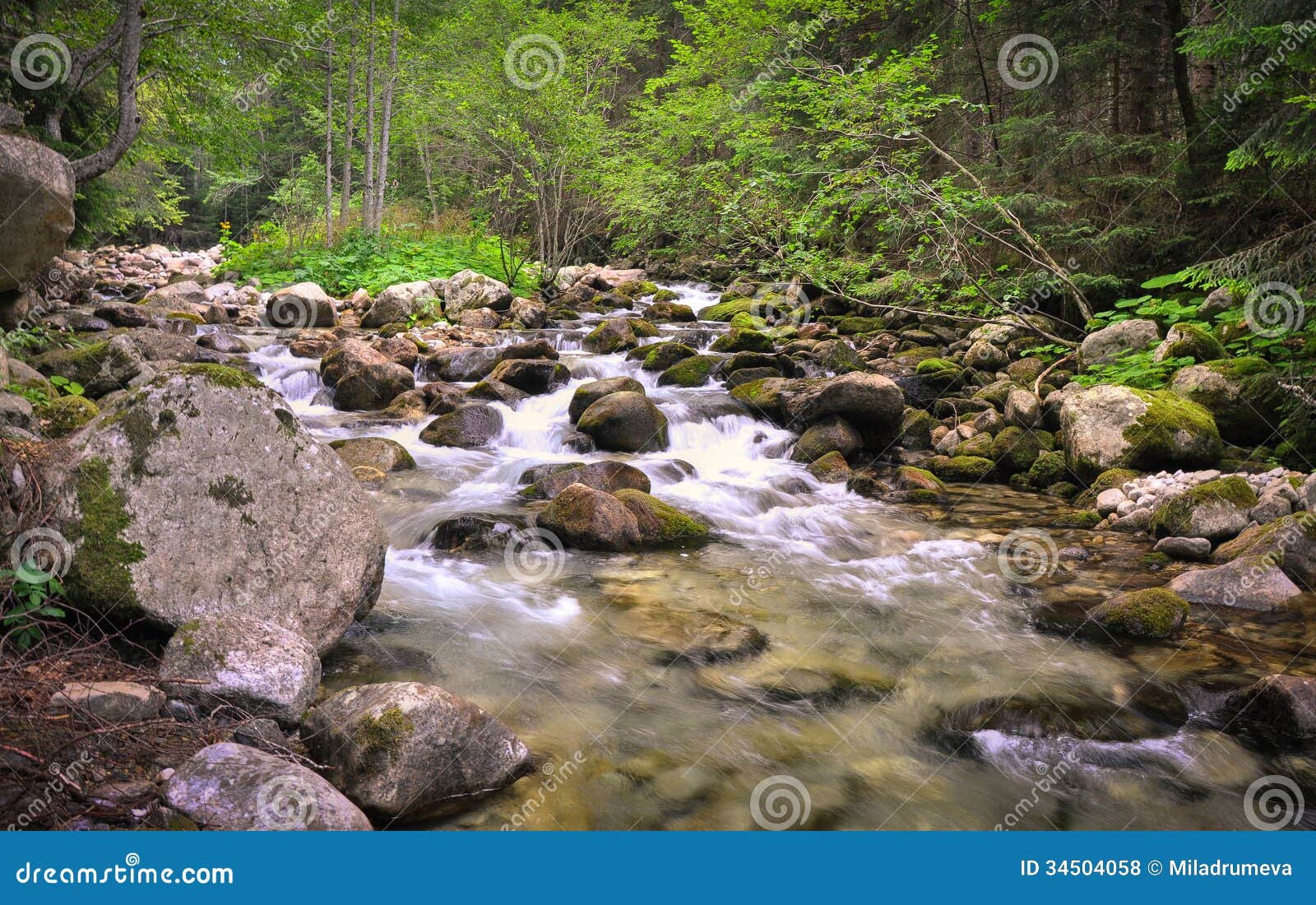 Forest River stock photo. Image of rock, color, motion - 34504058