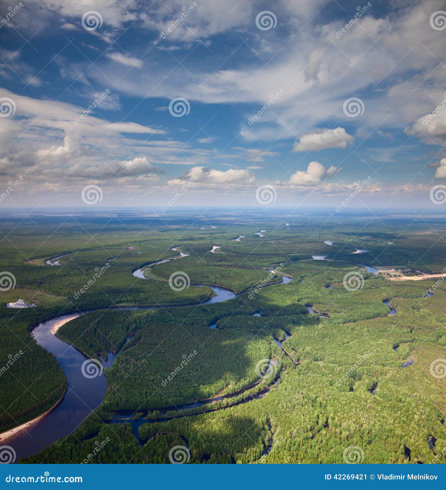 Forest River in Summer, Top View Stock Image - Image of high, tranquil ...