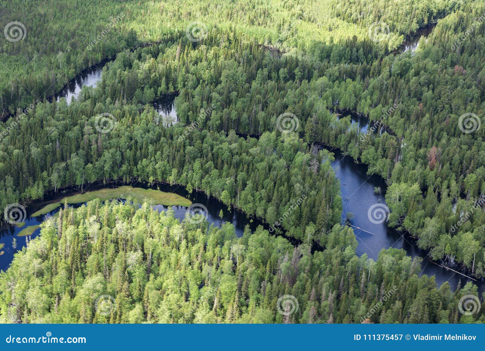 Forest River in Summer, Top View Stock Image - Image of view, large ...