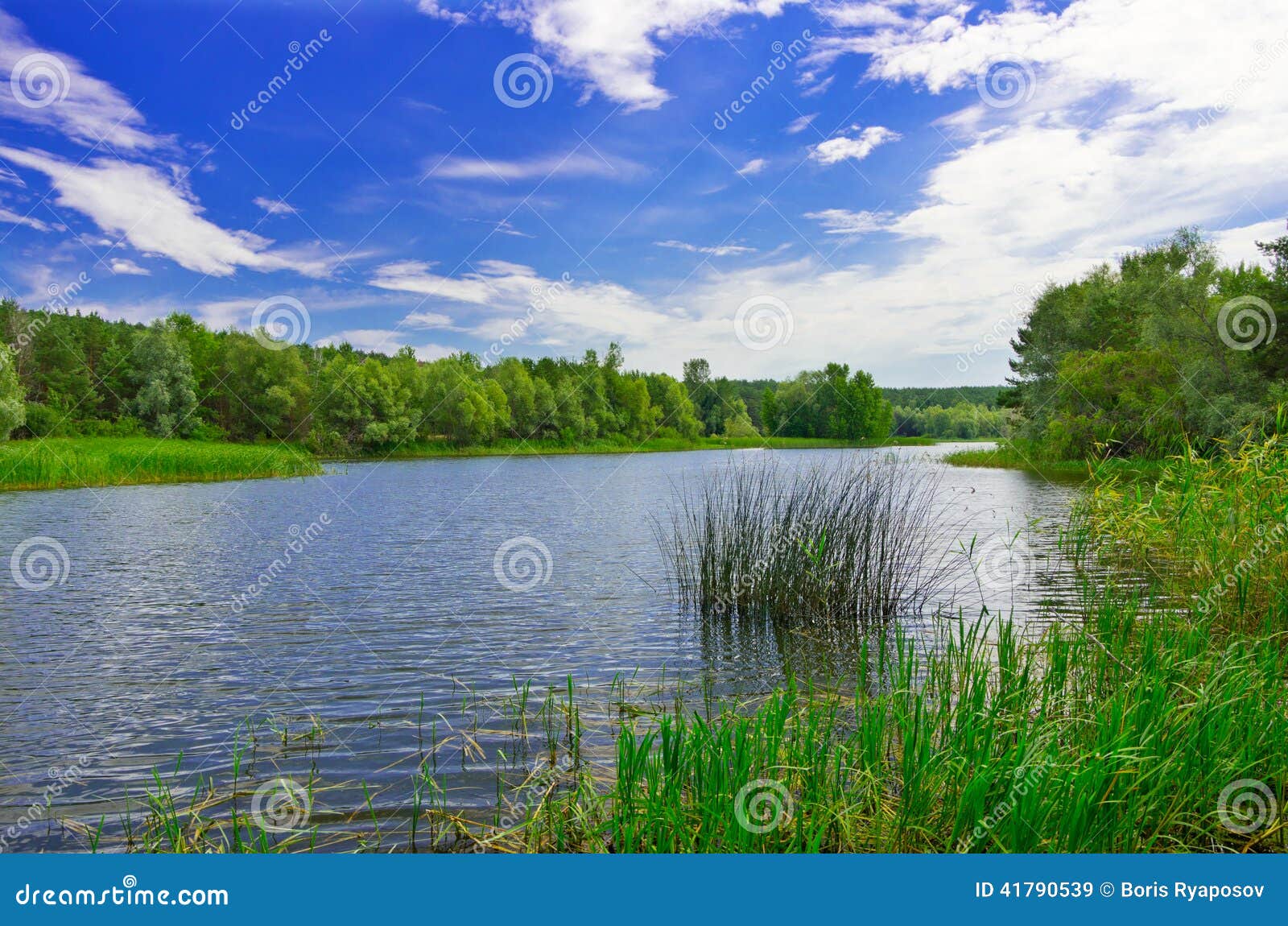 Forest river at sunny day stock image. Image of clear - 41790539