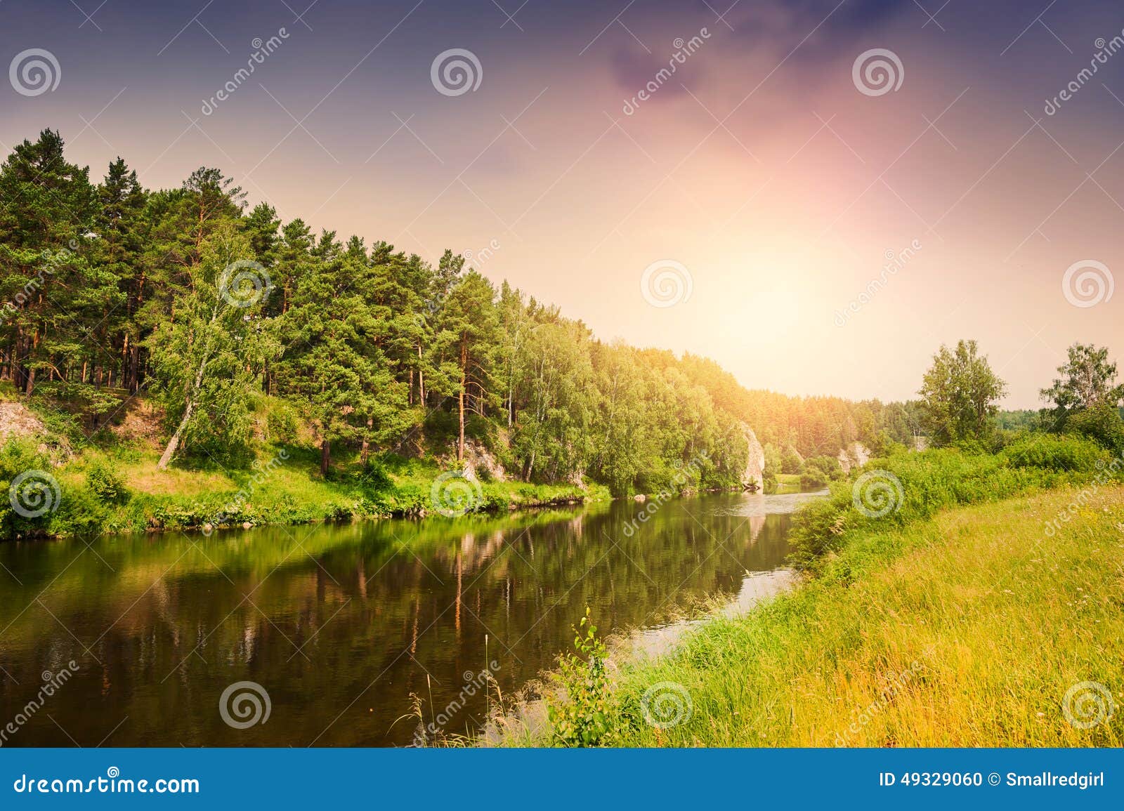 Forest river at sunset stock photo. Image of nature, riverside - 49329060
