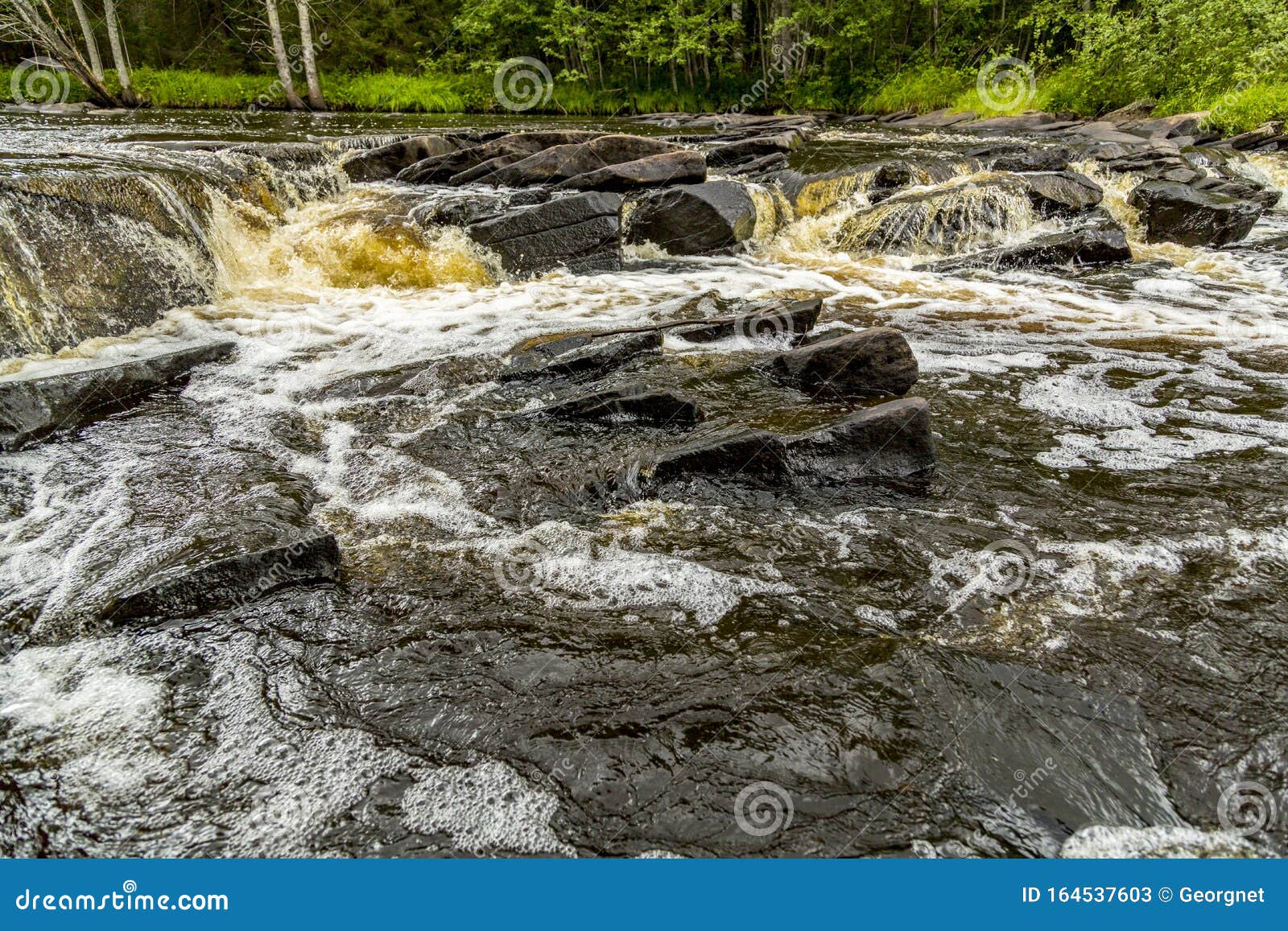 Forest river. Threshold stock image. Image of river - 164537603