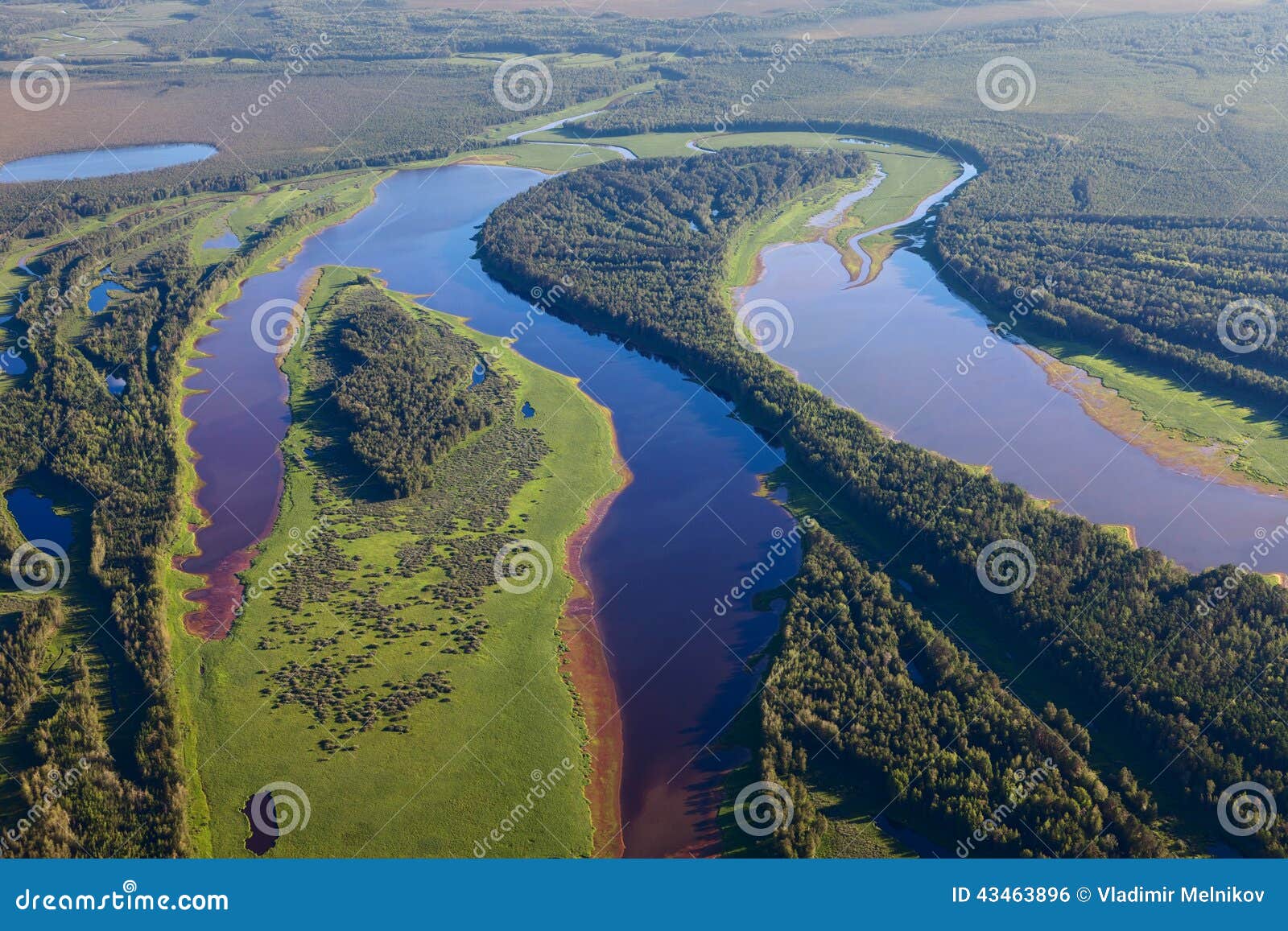 Forest river, top view stock photo. Image of green, grass - 43463896